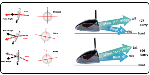 Swing Evolutions — Welcome to the Evolution of Sports